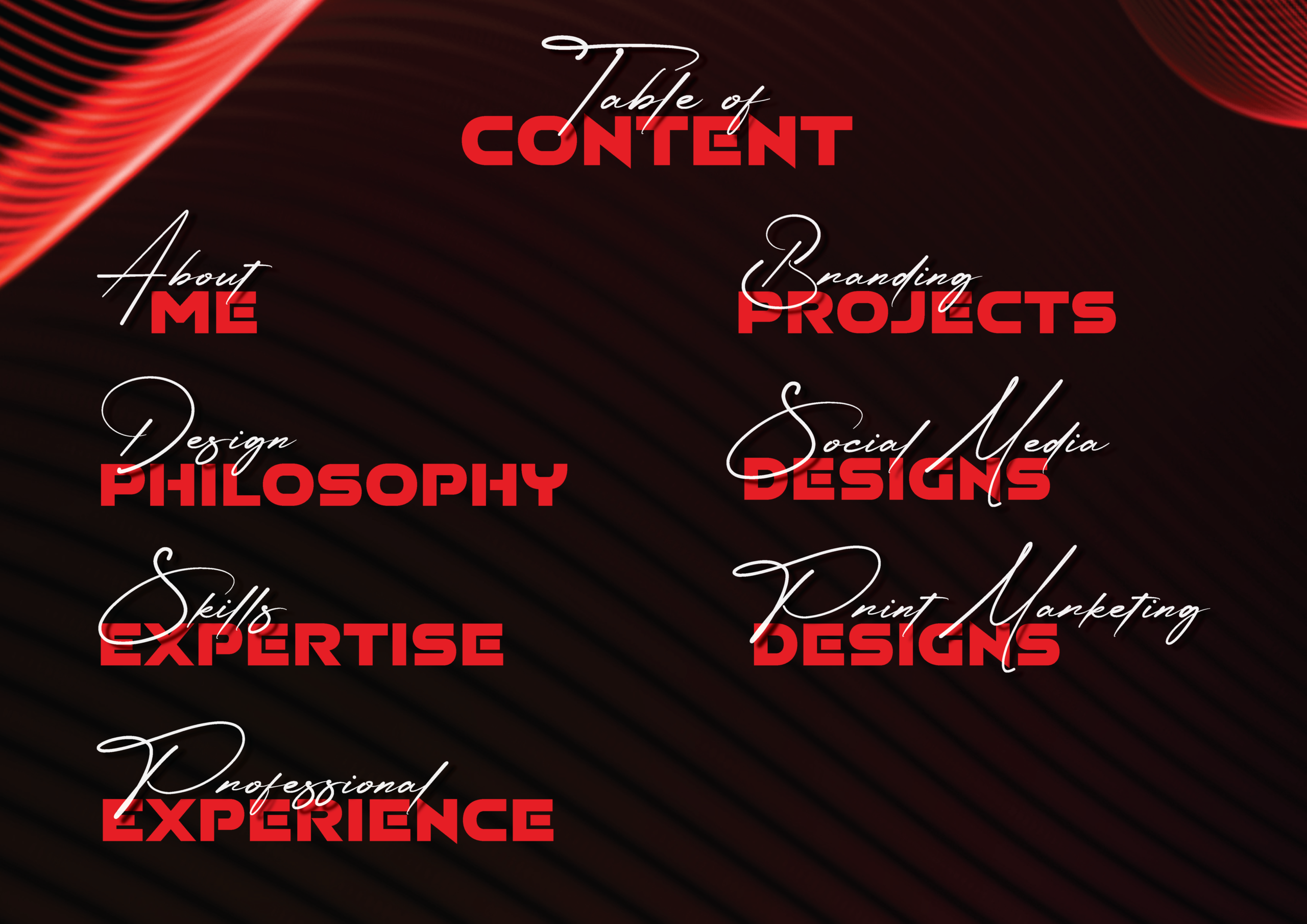 Professional Portfolio Design